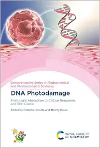 DNA Photodamage: From Light Absorption to Cellular Responses and Skin ...